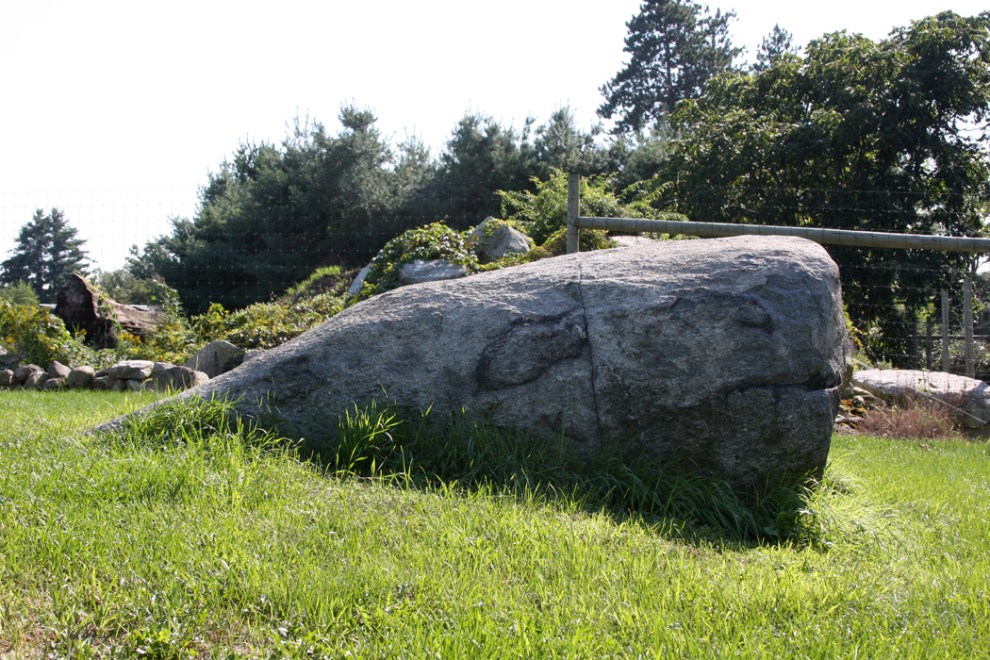 DOE ORCHARDS ROCKS! | Doe Orchards - Harvard, MA