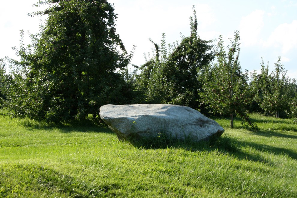 DOE ORCHARDS ROCKS! | Doe Orchards - Harvard, MA
