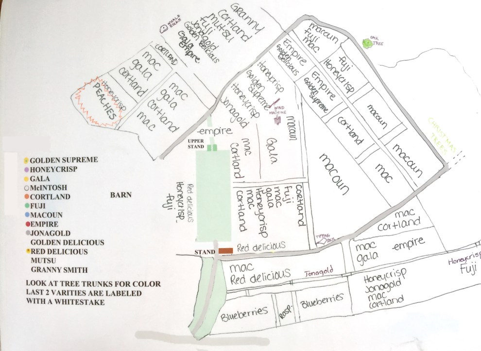 APPLE VARIETIES | Doe Orchards - Harvard, MA