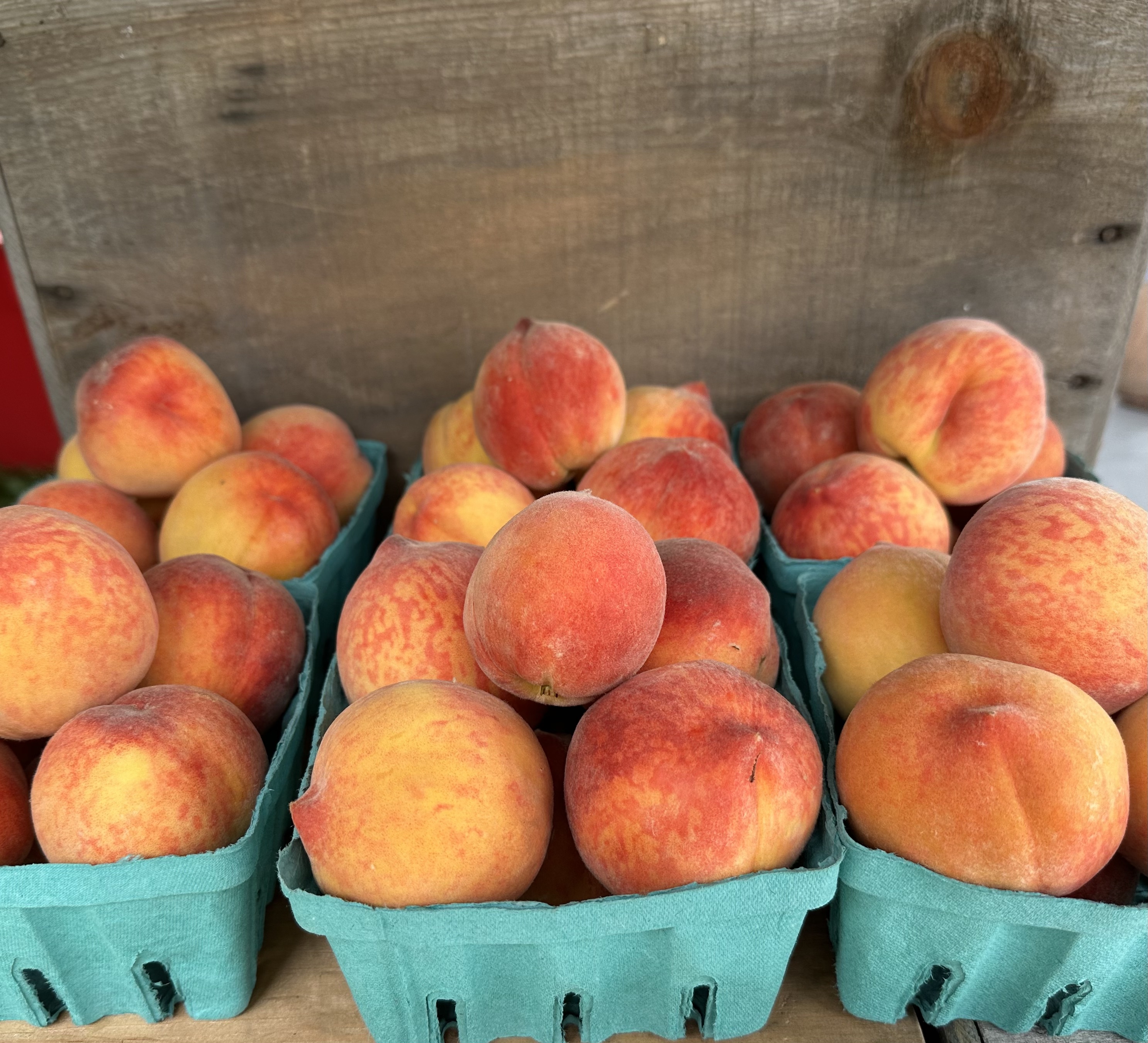Doe Orchards - Harvard, MA | Doe Orchards Farm Stand and Pick your Own ...